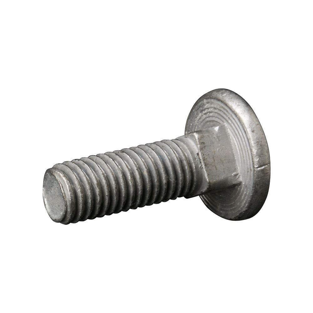 M10 x 30mm Galvanised Cup Square Bolts (100 pcs) - Clamp Safe Solutions